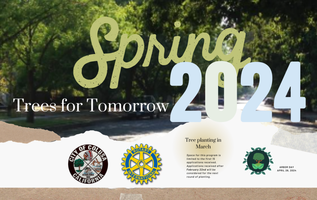 Trees – City of Colusa